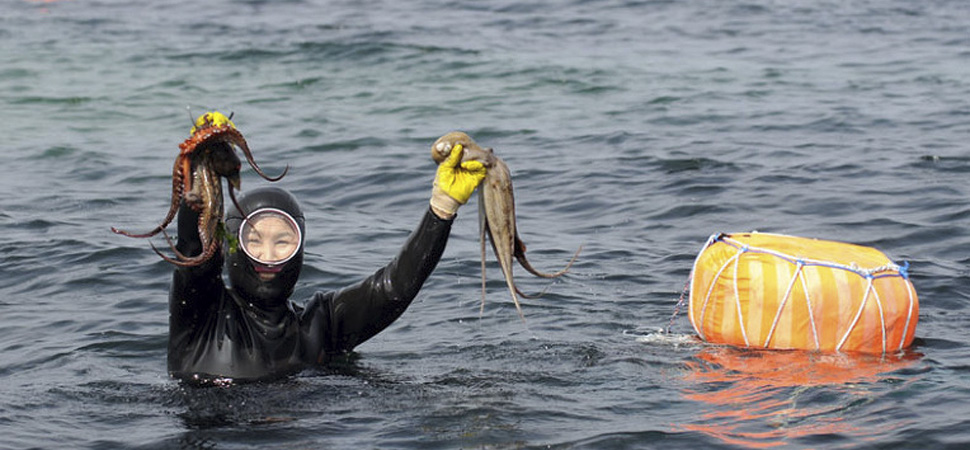 Korean divering legendary